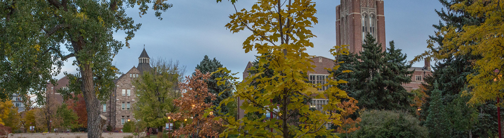 Social Work Graduate Programs | University of Denver