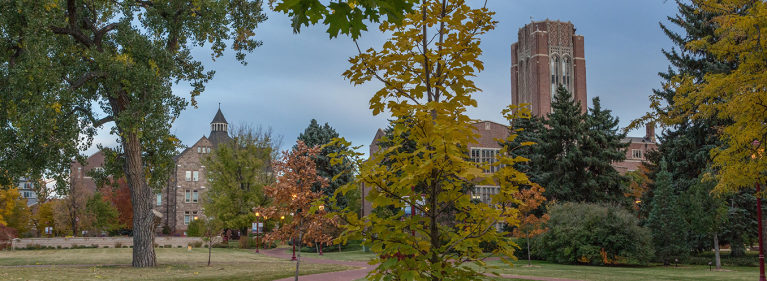 Social Work PhD Program | Graduate School of Social Work | University ...